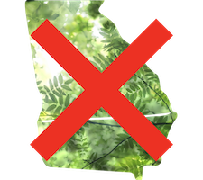 The DNR Brand: Environmental Protection Division | Department Of ...