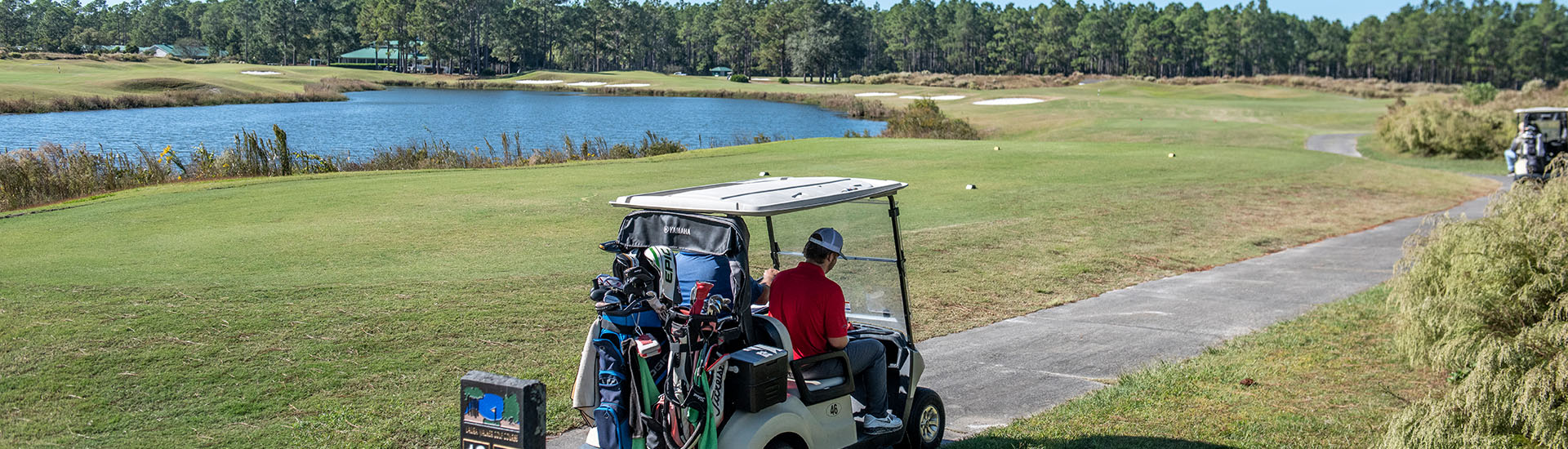 The Lakes Golf Course at Laura S. Walker State Park | Department Of ...
