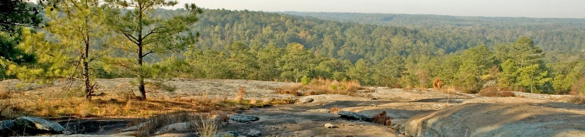 Panola Mountain State Park