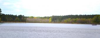 PUBLIC FISHING AREAS - GEORGIA